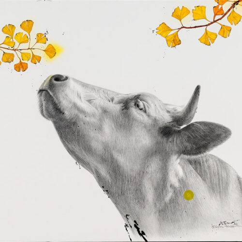 Sabrillu | Illustration & Zeichnungen aus Salzburg | Sabrina Hassler