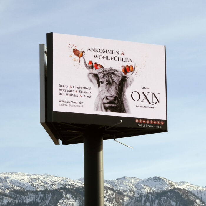 Graphite Cow Drawings | Sabrillu | Sabrina Hassler Illustration